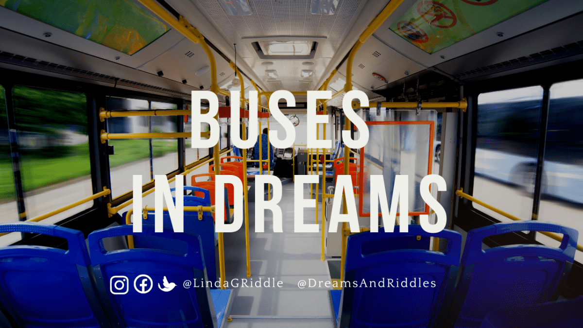 Buses in Dreams – Linda G Riddle