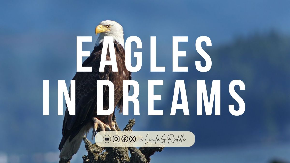 Eagles in Dreams – Linda G Riddle
