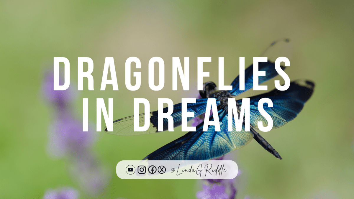 Dragonflies in Dreams – Linda G Riddle